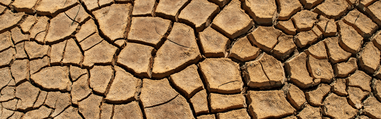 China busca medidas para combater onda de seca e calor | China2Brazil