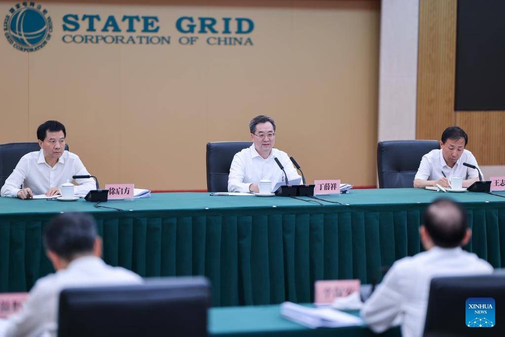 State Grid assina maior projeto de concessão de transmissão de energia ...