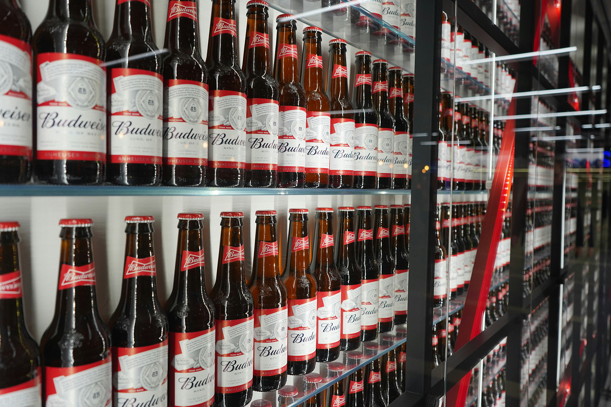 Ações da Budweiser APAC disparam após anúncio de primeira troca de CEO ...